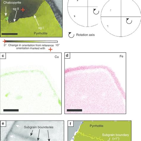 Detailed Microstructure Of The Inclusions A Microstructure Of