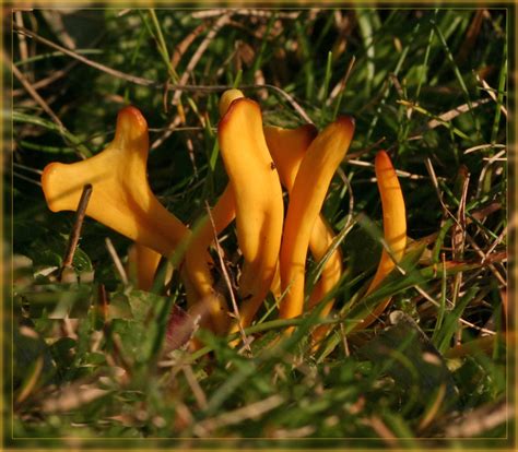 November 2004 Op De Koeheide In Bertem