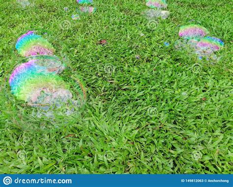 Bubbles On The Green Grass Stock Image Image Of Green 149812063