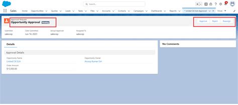 approval processes in salesforce astrea it services