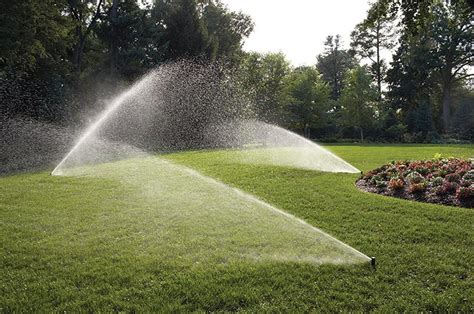 Your Guide To Watering The Lawn