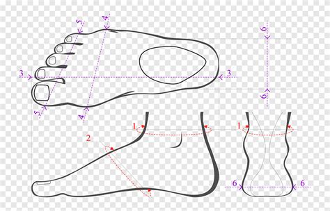 Finger Prosthesis Amputation Hand Upper Limb Hand Angle Hand Png