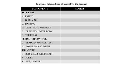 Functional Independence Measure Presentationpptx