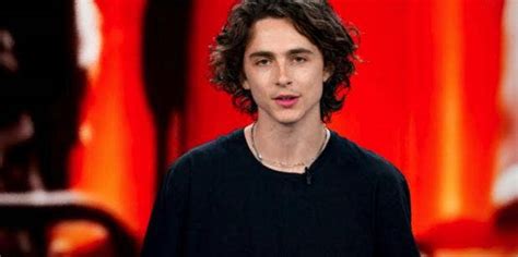 Is Timothée Chalamet Gay Man Claims Actor Followed Him On Social Media