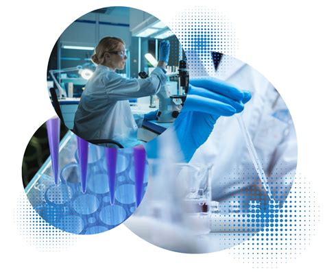 Usp 661 665 Gateway Analytical Laboratory