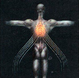 Tool Salival 2000