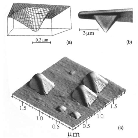 Pdf Three Dimensional Probe And Surface Reconstruction For Atomic Force Microscopy Using