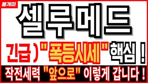 셀루메드 긴급 폭등 시세 🔥 핵심 작전세력 앞으로 이렇게 갑니다 제약 바이오 주가전망 테마주 급등주 주식추천