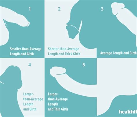 Plátano Lápiz O Martillo Descubre Los Diferentes Tipos De Pene De Acuerdo A Su Forma