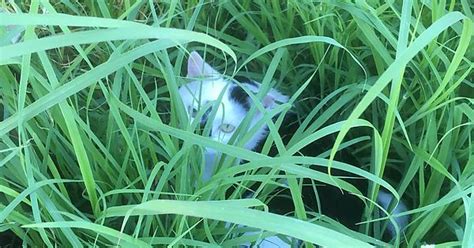 I Win Hide And Seek Album On Imgur