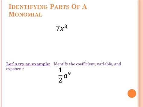 ppt understanding polynomials classification and degrees powerpoint