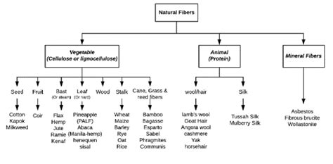Classification Of The Types Of Natural Fiber Sources Source 26 Download Scientific Diagram