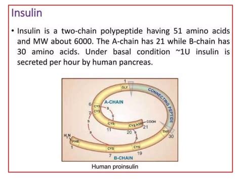 Antidiabetic Agents Medicinal Chemistry Pptx