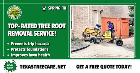 Tree Root Removal In Spring TX Texas Tree Care