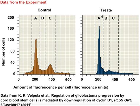APBIO Cell Cycle Regulations Diagram Quizlet