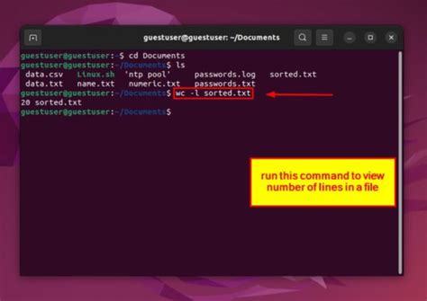 How To Count Lines In File Linux 8 Simple Methods