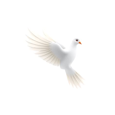 White Dove Symbolism