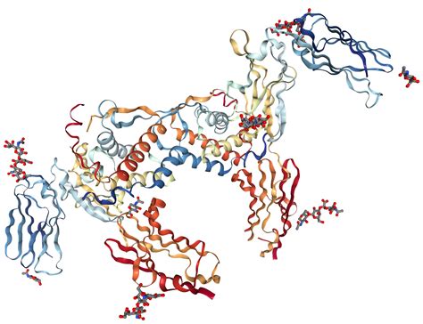 Csf1r General Information Sino Biological