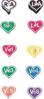 DART Essentials ECG Simulator By DART Sim