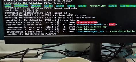 linux文件权限错误——用getfacl和setfacl恢复。 从启动盘运行getfacl提示权限不够 csdn博客