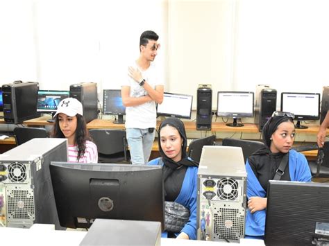 Asu Electronic Coordination Laboratories At Ain Shams University