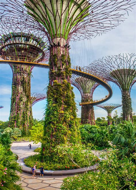 Chihuly Singapore Gardens By The Bay At Jeremy Shockley Blog