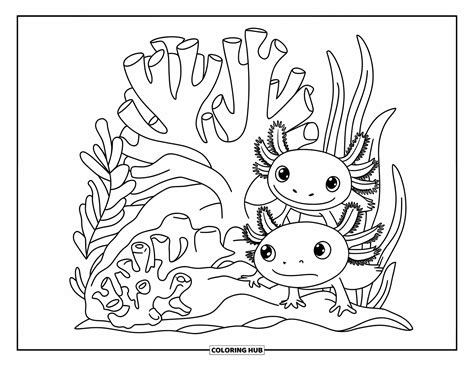 Axolotl Coloring Pages For Adults