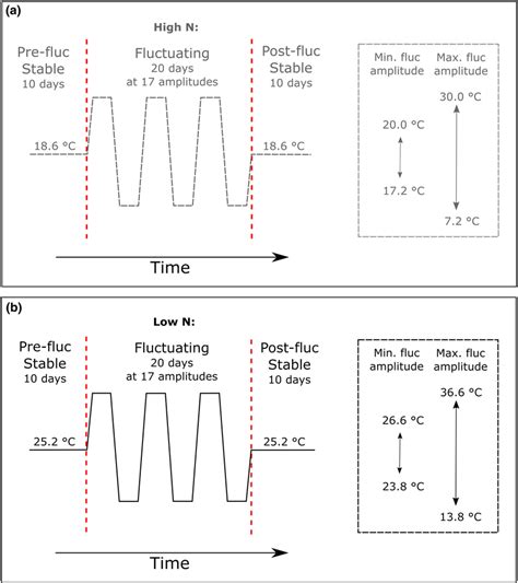 Schematic Timeline Of The Fluctuation Experiments Under A High N