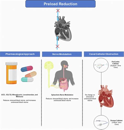 Shielding The Heart Preload Reduction Therapies In Heart Failure∗