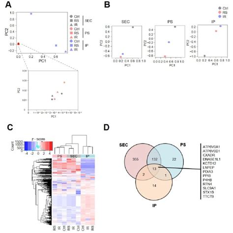 Proteomic Characterization Of Smallevs A Principal Component