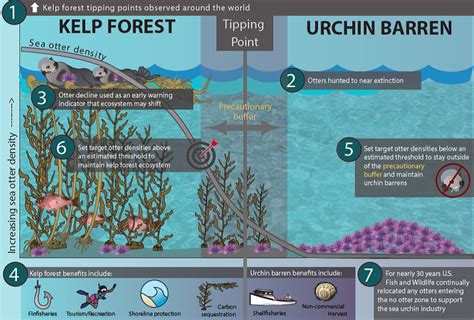 Tipping Points Principles Ocean Tipping Points