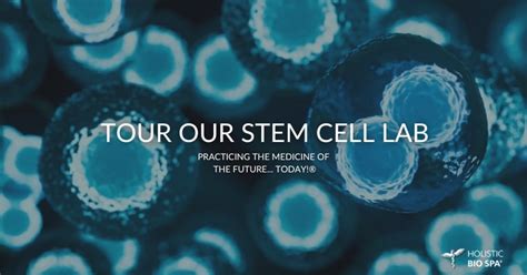 Stem Cell Lab In Mexico Video Tour Of Our Stem Cells Lab Holistic