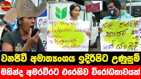 මහින්ද අමරවීරට එරෙහිව විරෝධතාවයක් වනජීවී අමාත්‍යංශය ඉදිරිපිට උණුසුම් Youtube