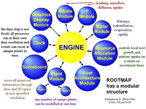 ROOTMAP Model Of Threedimensional Root Growth Update On