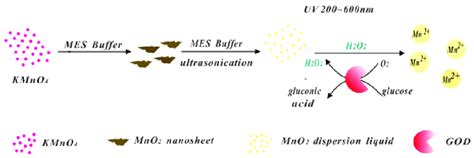 scheme 1 schematic illustration of the detection for h2o2 and glucose