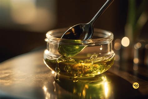 Unleash The Power Of Cannabis Tinctures Experience The Ultimate Herbal