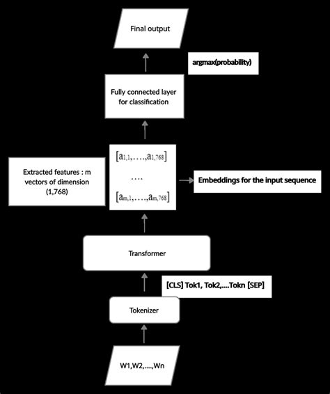 Overall Architecture For The Transformer Based Classification Approach