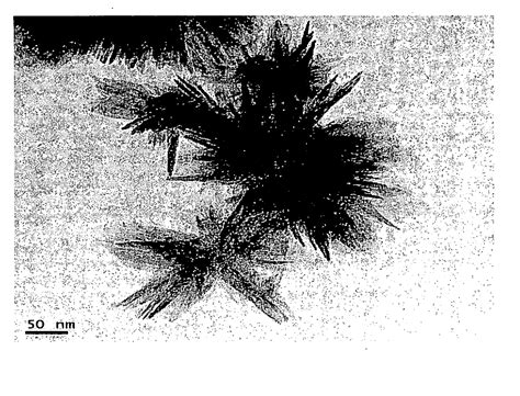 One Step Electrochemical Process For The Synthesis Of Pure Rutile Titanium Dioxide Nanoneedles