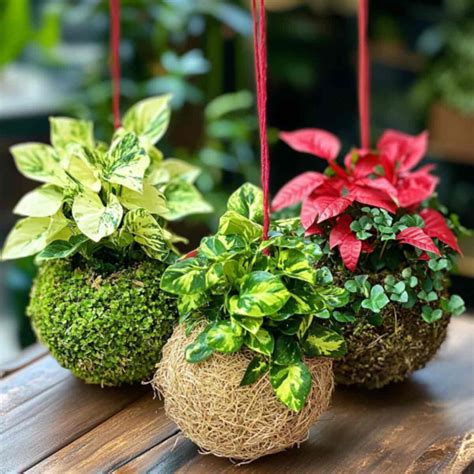 17 Creative Kokedama String Garden Ideas To Green Up Your Home
