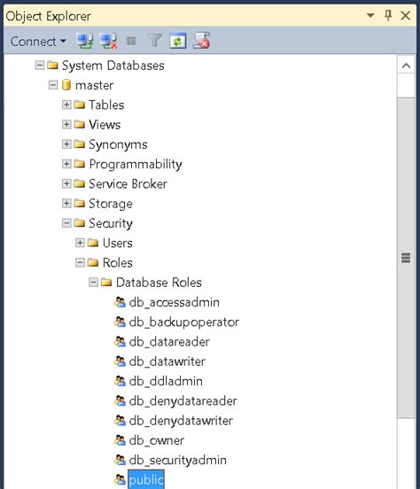 Rz70 The Execute Permission Was Denied On The Object Xx Database