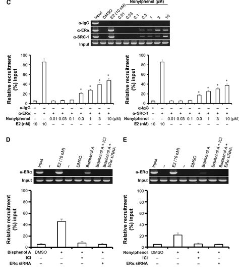 Figure 4 From Transcription Factor Activity Of Estrogen Receptor α
