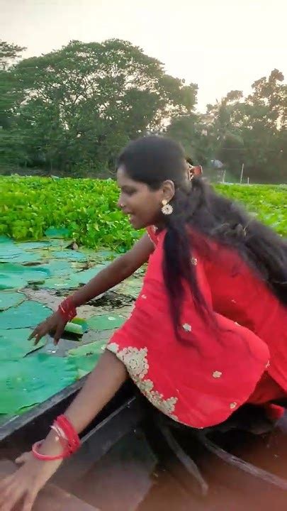 পদ্ম দিঘীর পদ্ম Youtube