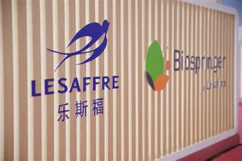 思宾格拓展中国业务 坚持走csr之路 中新社上海