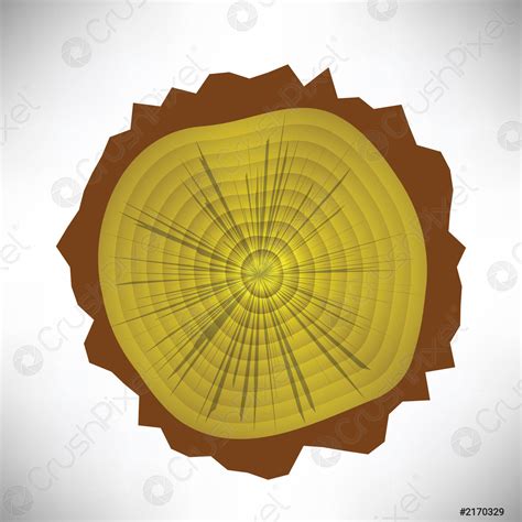 Tree Rings Texture Stock Vector Crushpixel