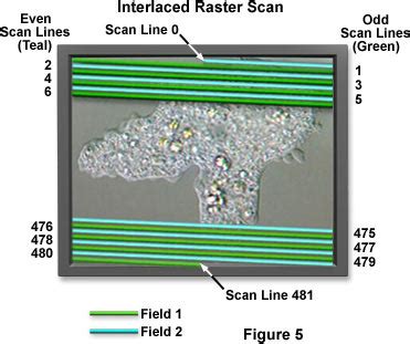 Molecular Expressions Microscopy Primer Digital Imaging In Optical Microscopy Fundamentals Of