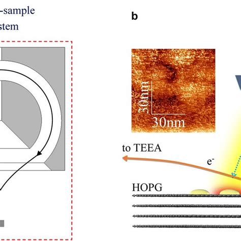 The Experimental Arrangement A The Sketch Of The Spectrometer Which
