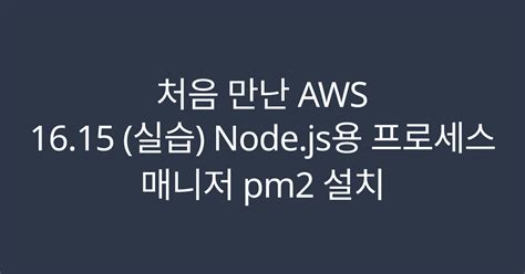 [문서] 처음 만난 aws 실습 node js용 프로세스 매니저 pm2 설치 frontoverflow