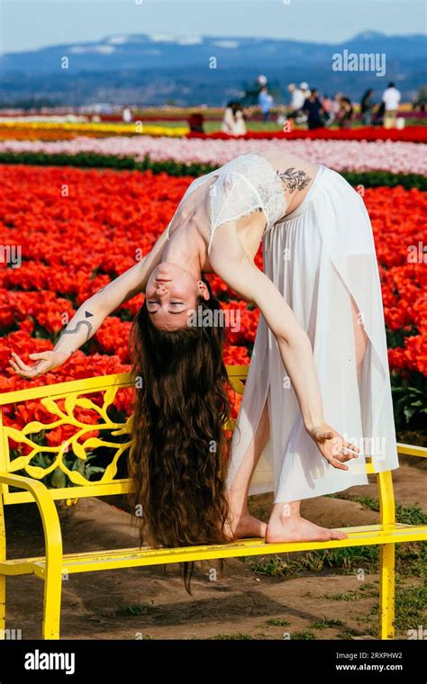 Long Haired Brunette Bending Over Backwards On Bench In Front Of Tulip Field Stock Photo Alamy