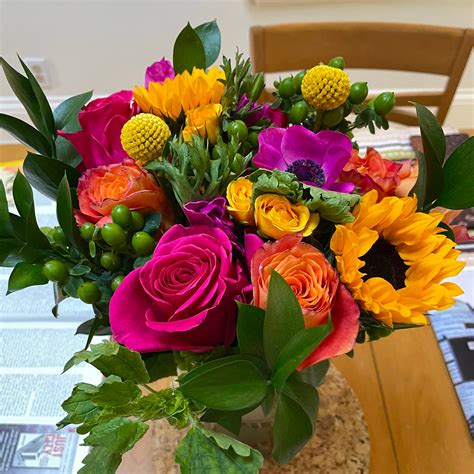 Anne Stuart Substack