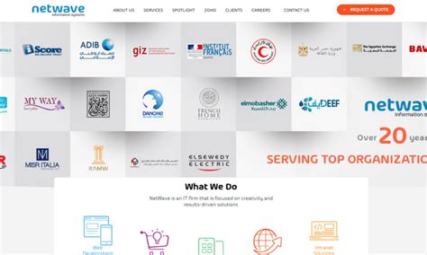 Netwave Information Systems Reviews And Clients Designrush